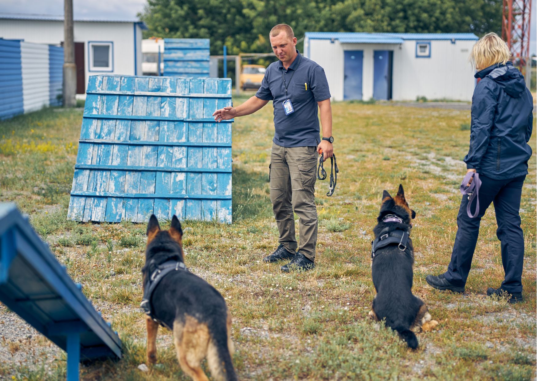 Training a Guide Dog - Training Arena